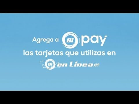 Maximize Seu Potencial com Bi Credit Contatos | Actualizado mayo 2026